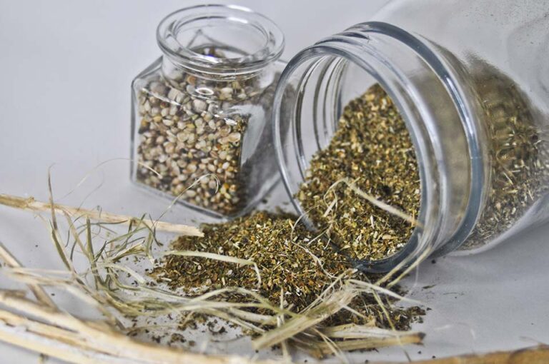 Hemp Fiber Processing - Prairie PROducers